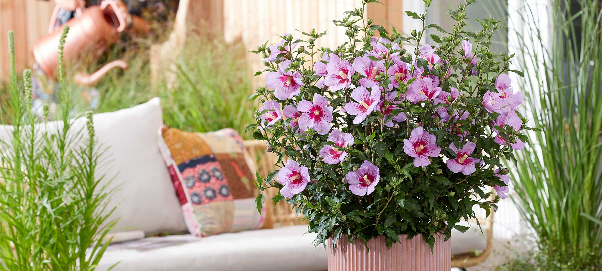 Greenleaf Garden Center - Handsome Plants delivered with love!