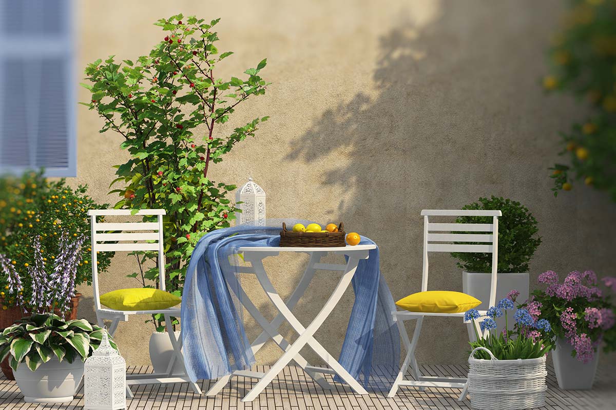 Rubus 'Raspberry Tower'® 19cm – Greenleaf Garden Center