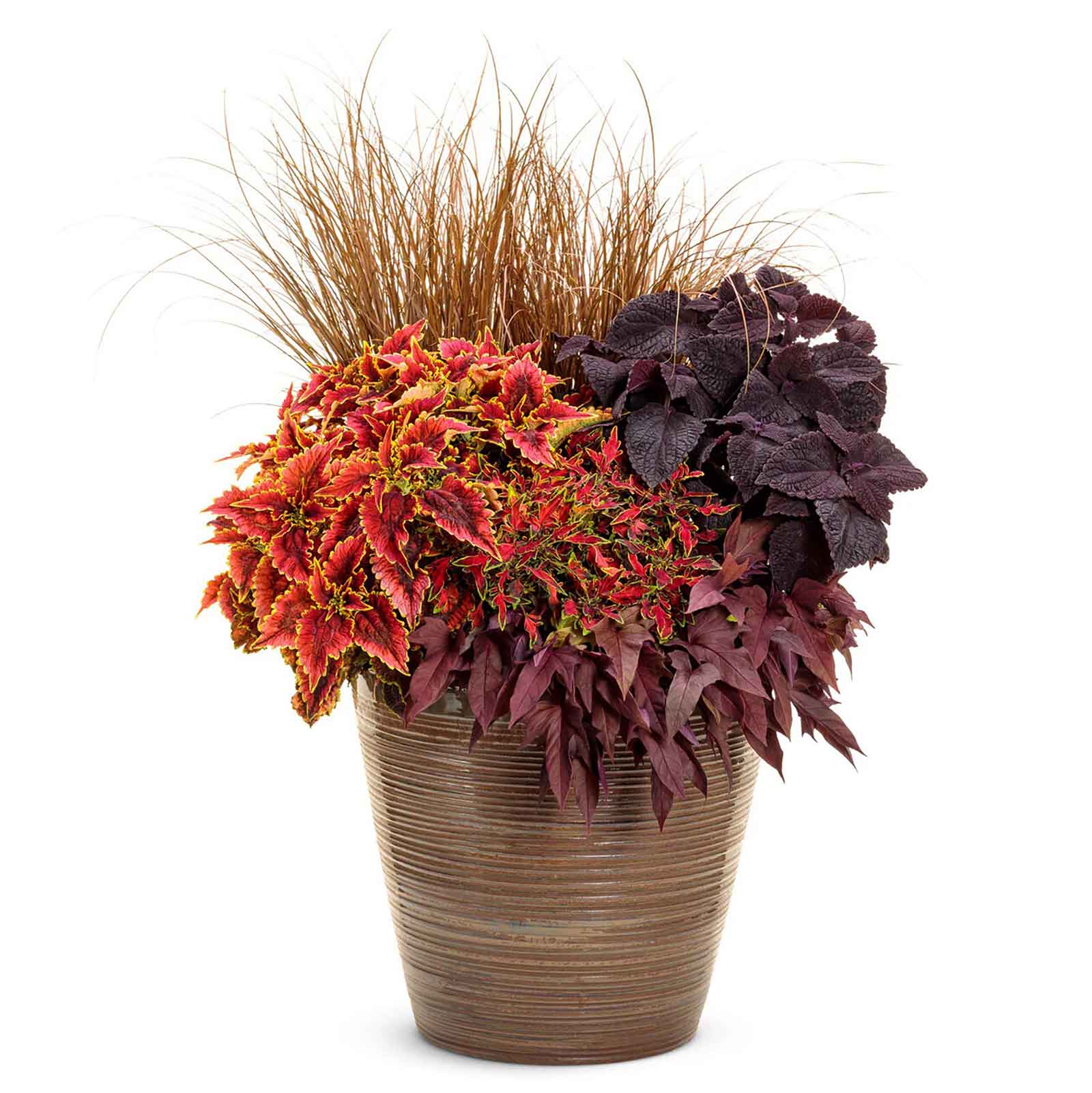 Greenleaf Garden Center - Handsome Plants delivered with love!