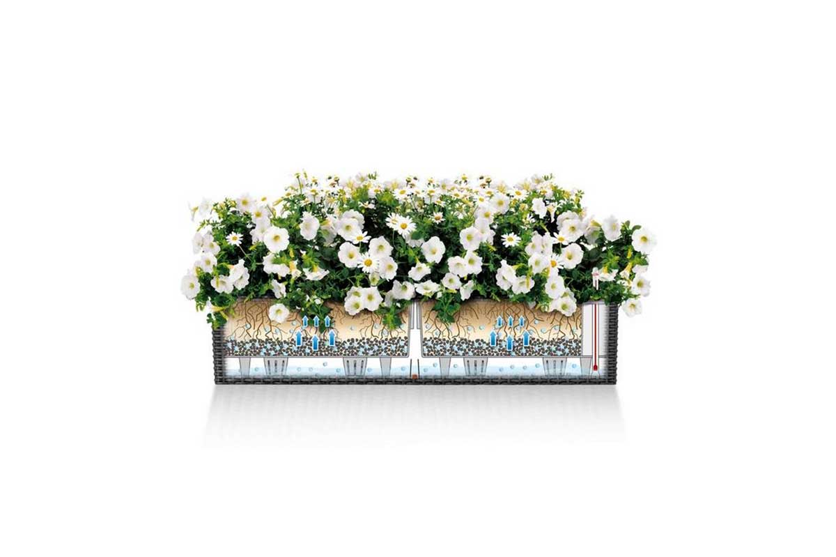 Lechuza Balconera Cottage 80 – Greenleaf Garden Center